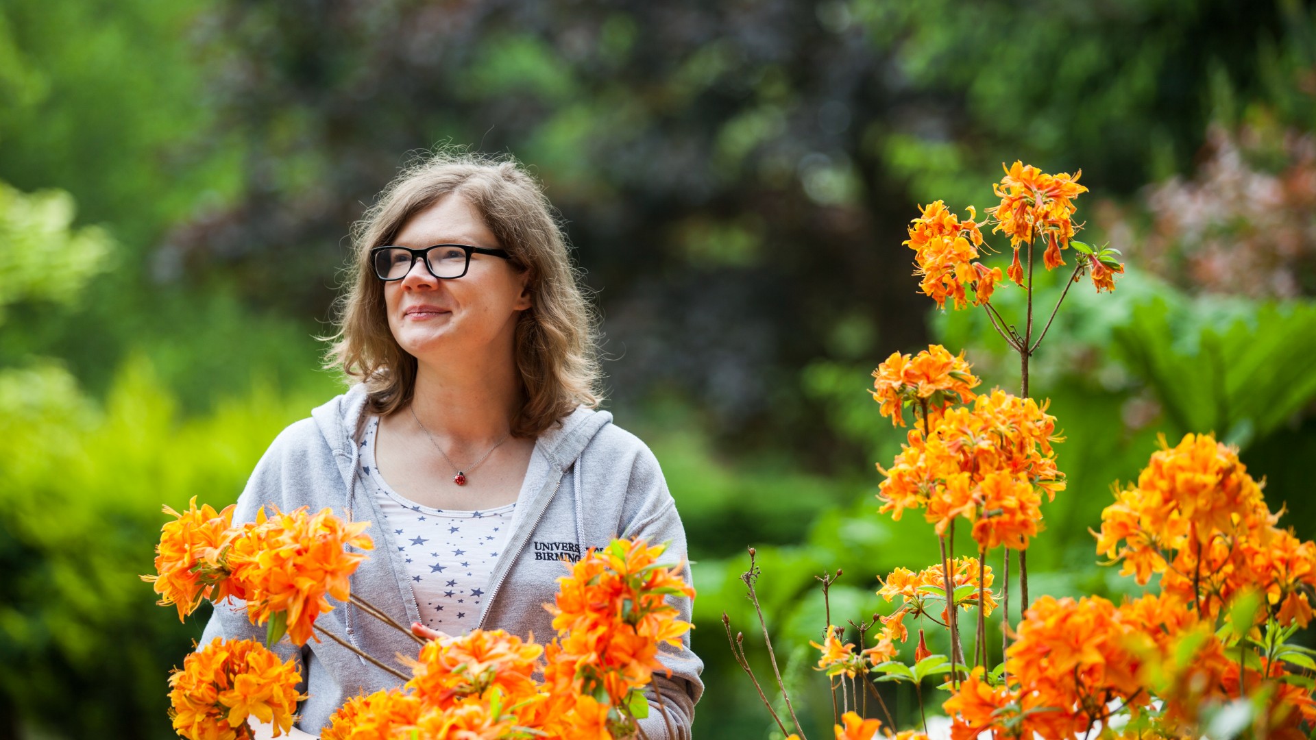 Donate in memory of a loved one | MS Society
