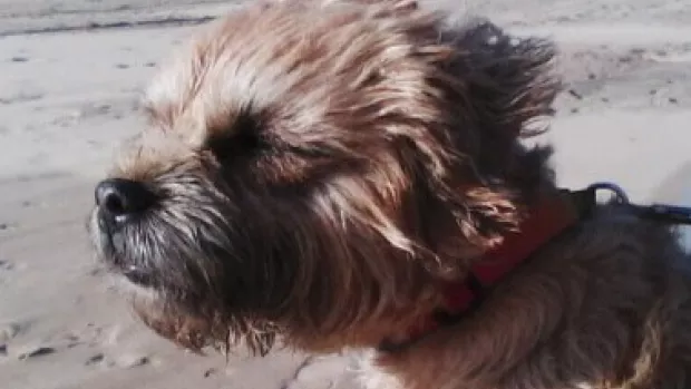 Here for everyone with MS | MS Society