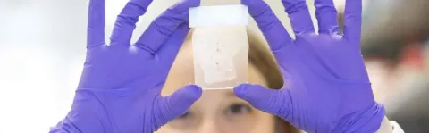 Genetics and MS | MS Society